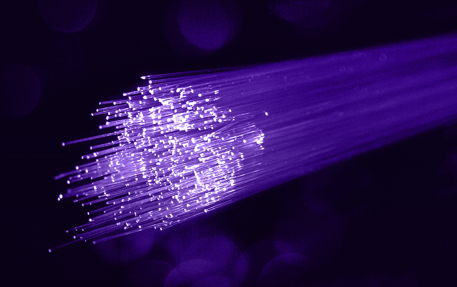 Dark Fibre | Swoop