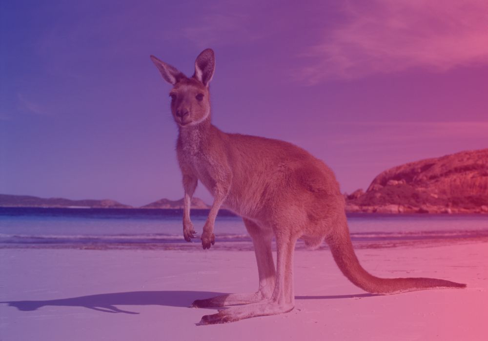 Australian Internet Usage Trends | Current Facts and Insights